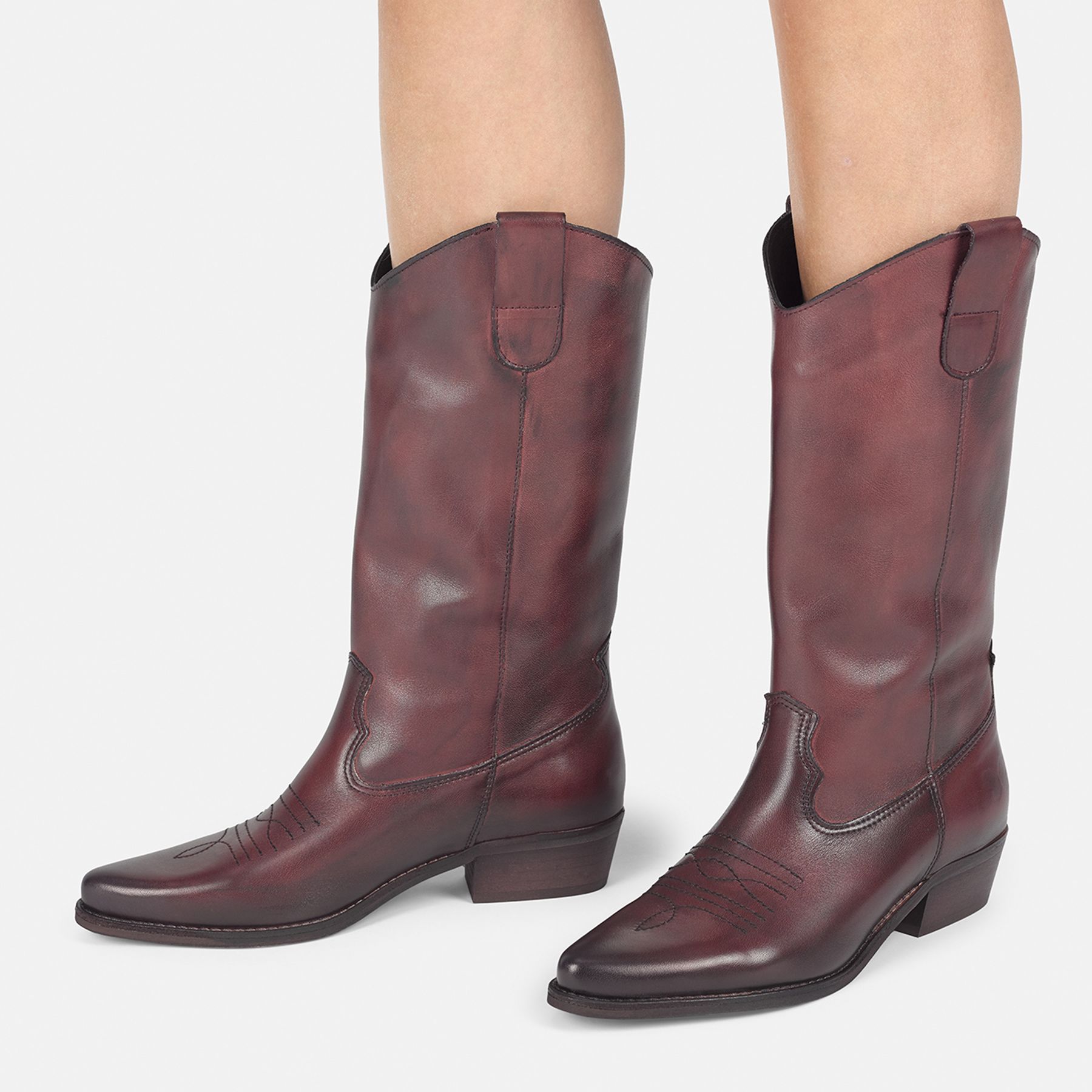 GERBERA-7962-ANILEX-BORGONHA